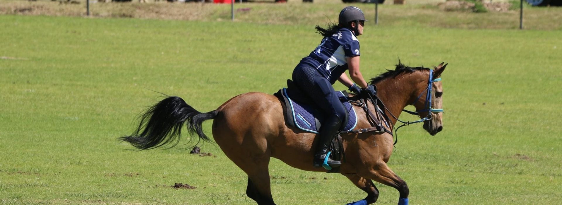 Home - Sporting Horse Australia