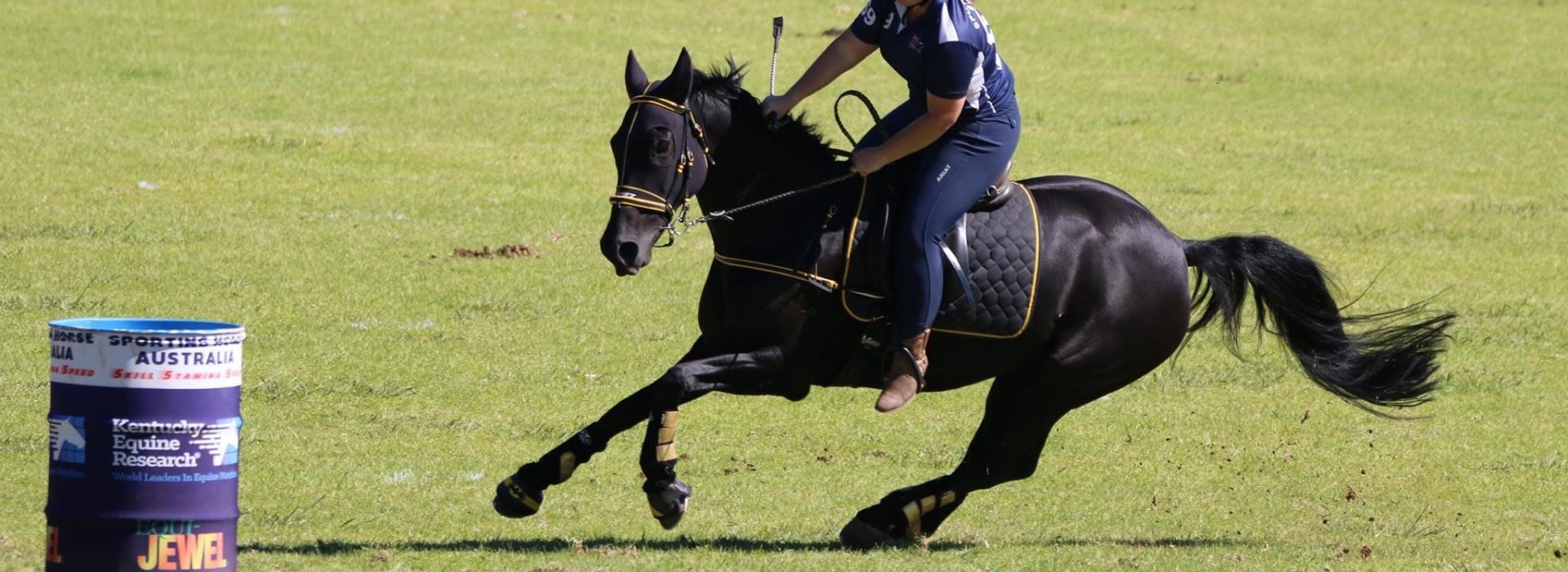 Home - Sporting Horse Australia