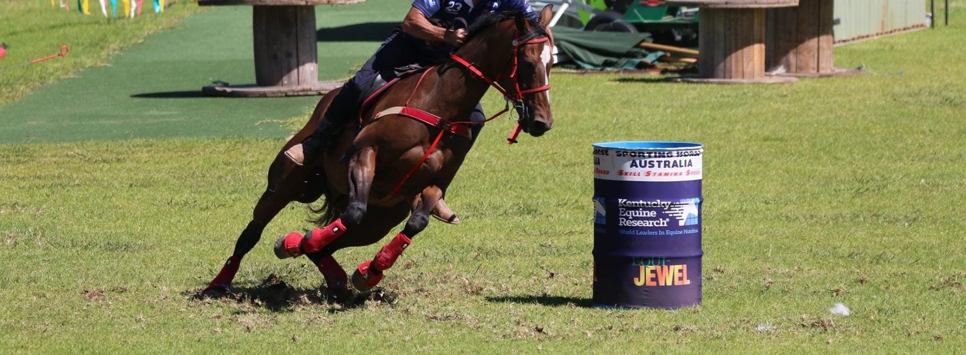 Home - Sporting Horse Australia