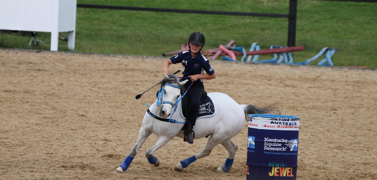 Home - Sporting Horse Australia