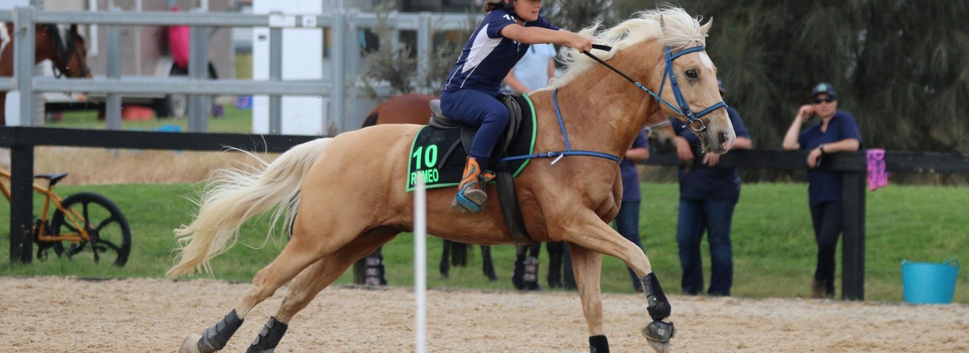 Home - Sporting Horse Australia