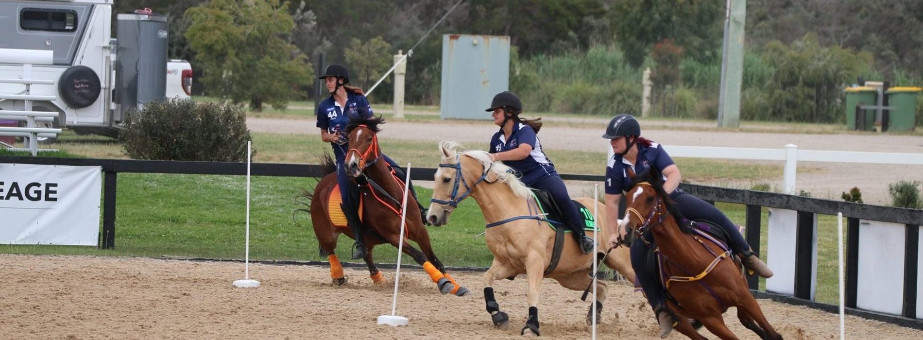 Home - Sporting Horse Australia