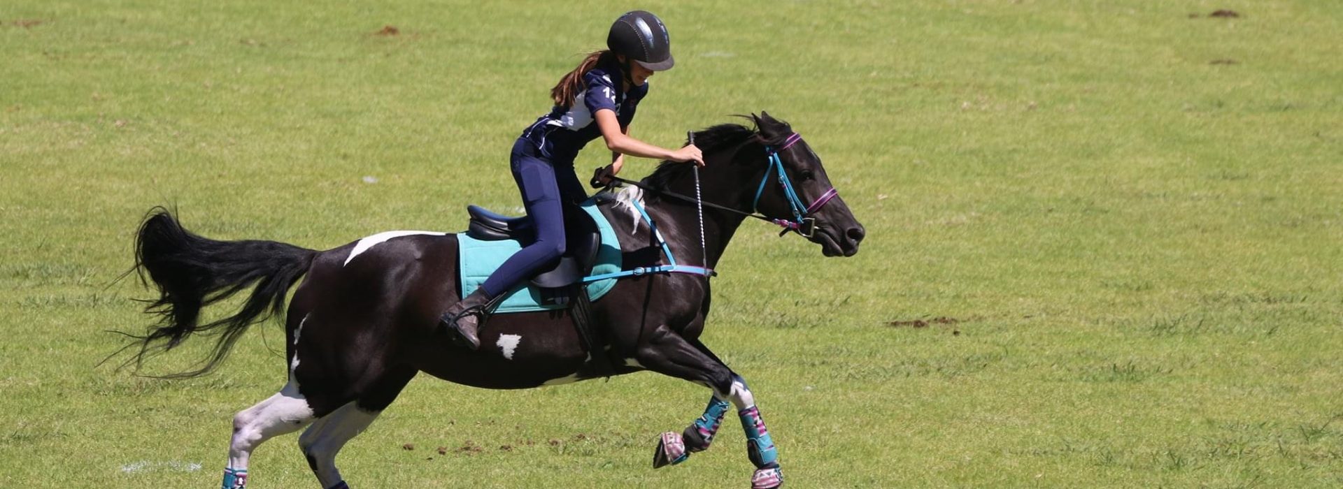 Home - Sporting Horse Australia